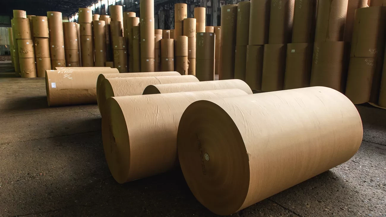 Pulp and paper solutions | Bruks Siwertell