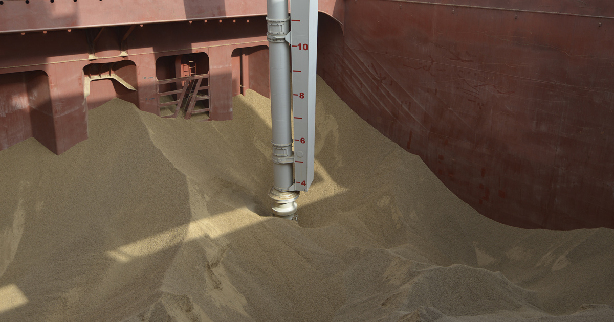 Biomass handling and processing