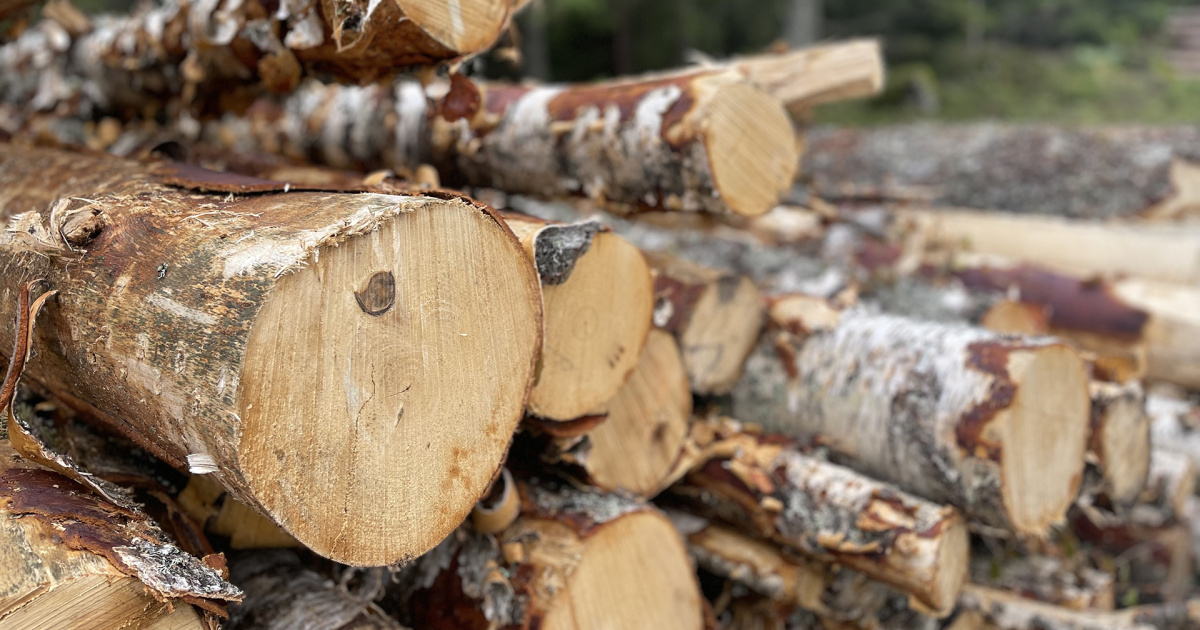 raw materials for processing wood